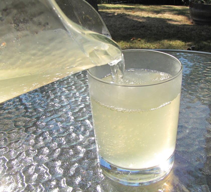Agua de Linaza | Recetas de Panchita